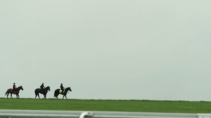 WATCH: Handicapping with Alice Haynes