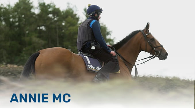 Annie Mc: Your mare on a mission