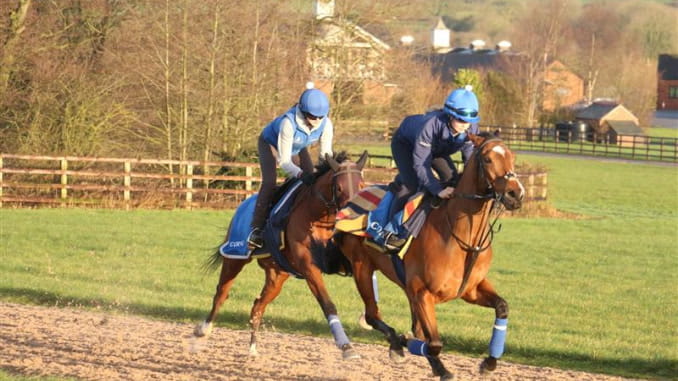 WATCH: Cast No Shadow set for quick turnaround after being declared at ...