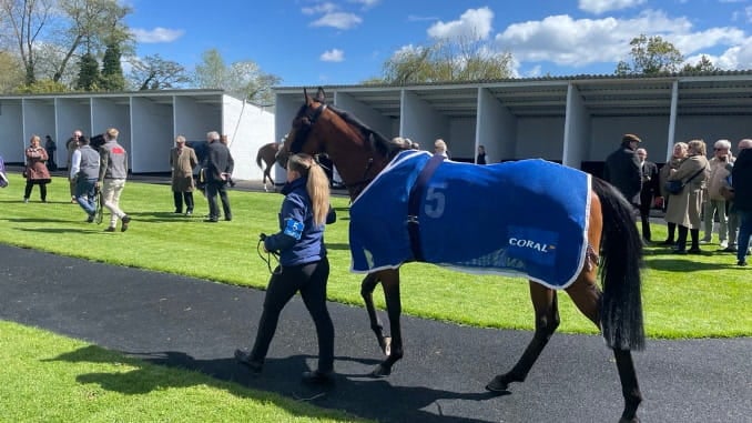 WATCH: Cast No Shadow set to run on the first Friday Night Live card at ...