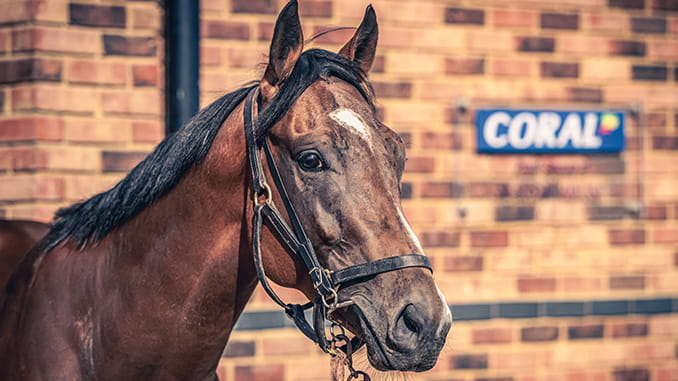 Cast No Shadow Update