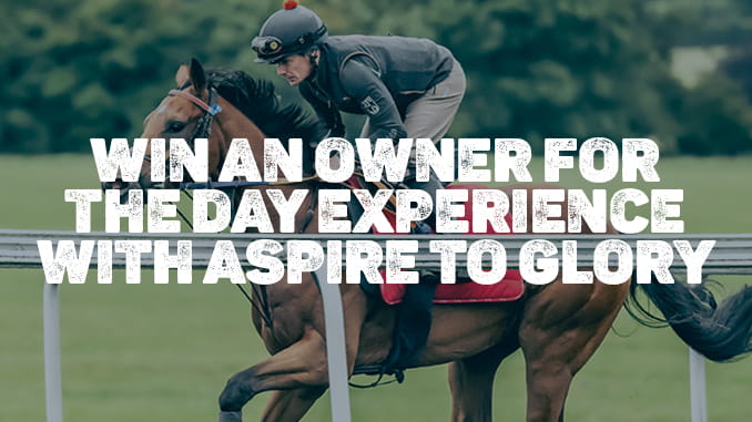 Aspire To Glory – Win an Owner for the Day experience