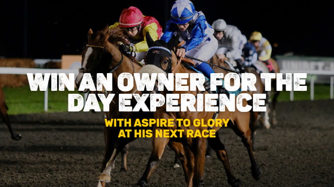 Aspire To Glory – Win an Owner for the Day experience