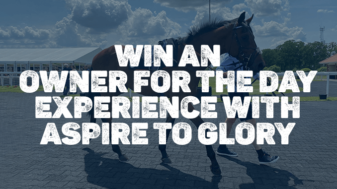 Aspire To Glory – Win an Owner for the Day experience