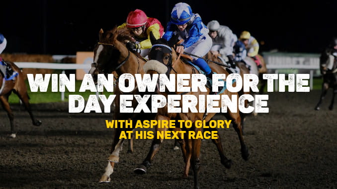 Aspire To Glory – Win an Owner for the Day experience