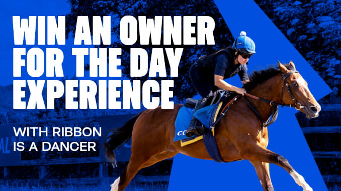 Ribbon Is A Dancer – Win an Owner for the Day experience