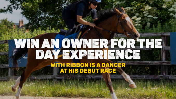 Ribbon Is A Dancer – Win an Owner for the Day experience