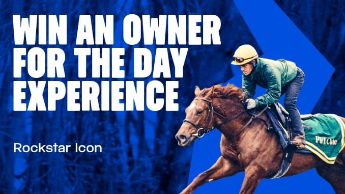 Rockstar Icon – Win an Owner for the Day experience
