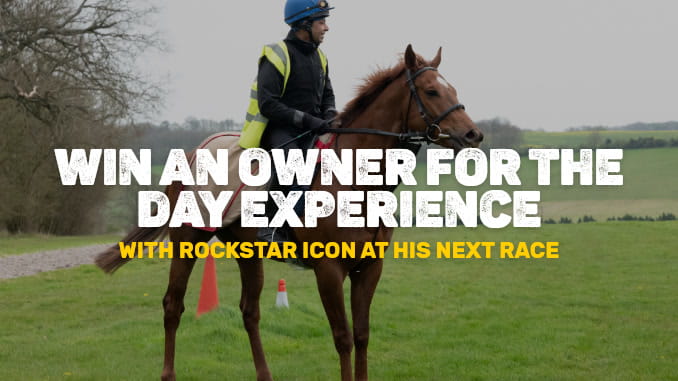 Rockstar Icon – Win an Owner for the Day experience