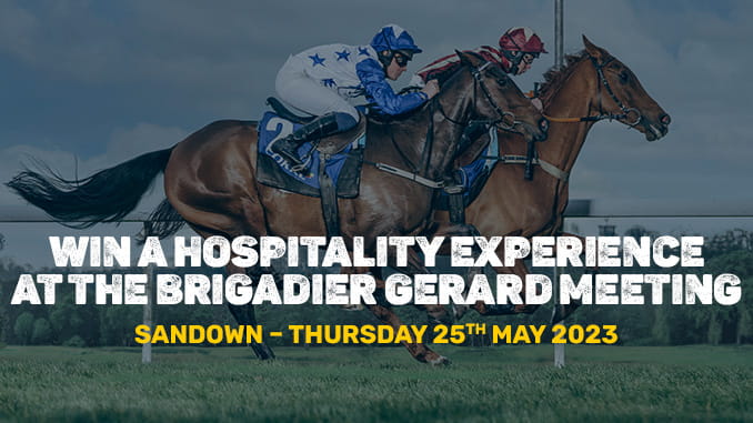 Win a hospitality experience at Sandown's Brigadier Gerard Meeting