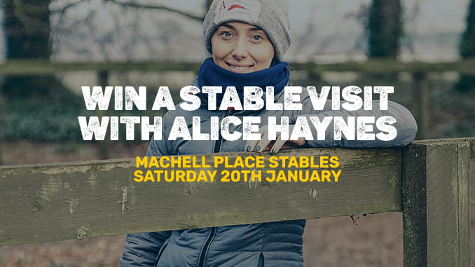 Win a Stable Visit with Alice Haynes