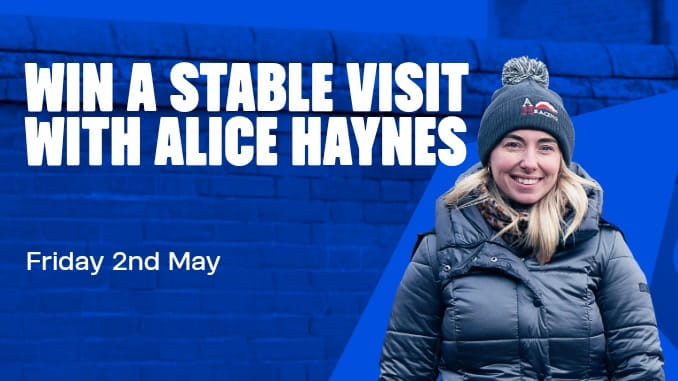 Win a Stable Visit with Alice Haynes
