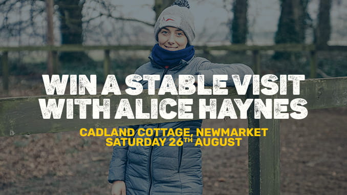 Alice Haynes Stable Visit Competition