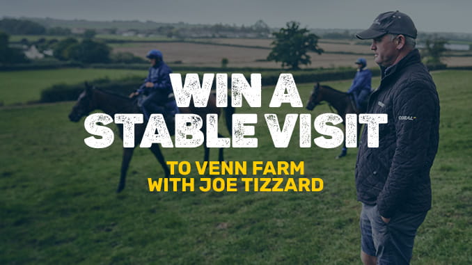 Win a Stable Visit to Venn Farm with Joe Tizzard