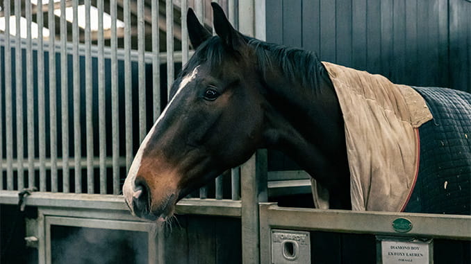 WATCH: Joe Tizzard announces the winning name and reveals the members ...