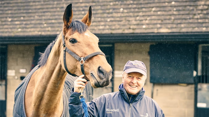 WATCH: Hey Day Baby back in action as she prepares for a trip to Market ...