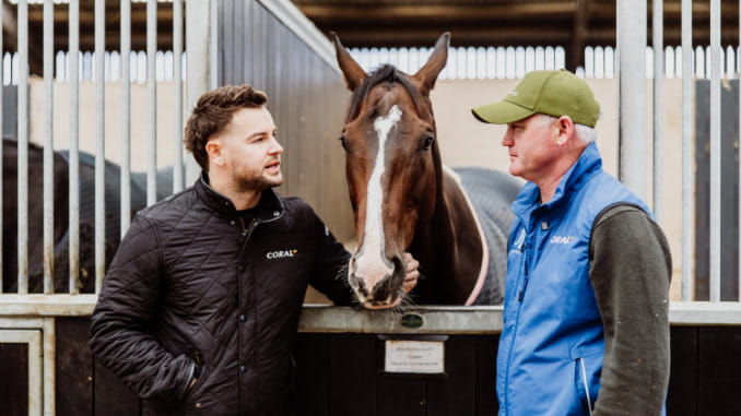 WATCH: Meet the club's new €35,000 unnamed four-year-old gelding in ...