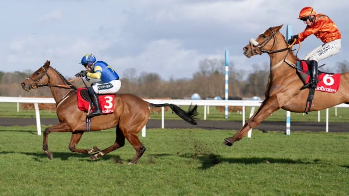 Cheltenham Festival Market Movers | More handicap hints and a potential ...