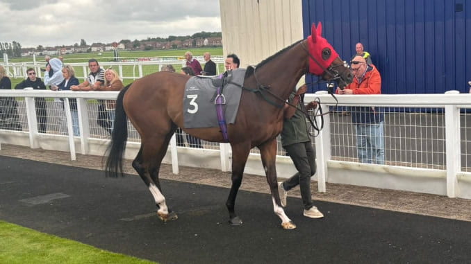 Plenty to build on following Phoenix Of Dreams' encouraging return to ...