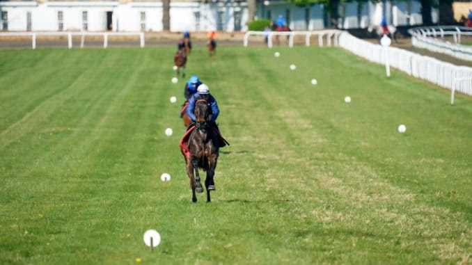 WATCH: Pop Star set for quick reappearance as Alice Haynes declares him ...