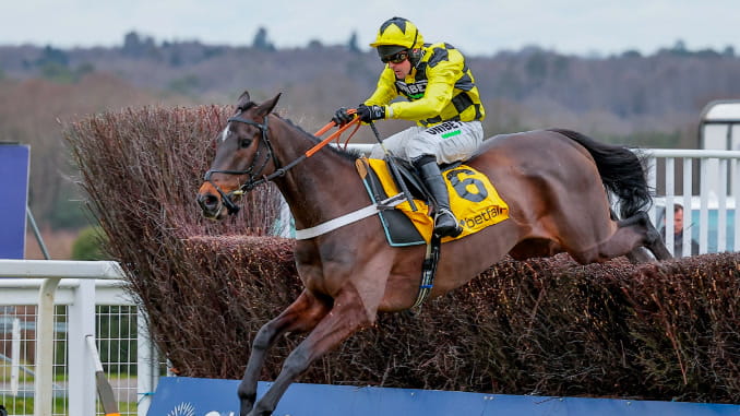 Weekend Review – Shishkin flies to Ryanair favouritism with Ascot Chase ...