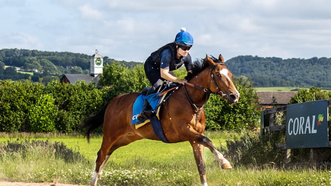 Ribbon Is A Dancer: Kempton review from Hugo, post-race interview with ...