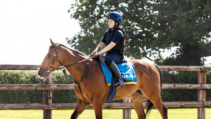WATCH: Unnamed Soldier's Call colt hits the gallops as his racecourse ...