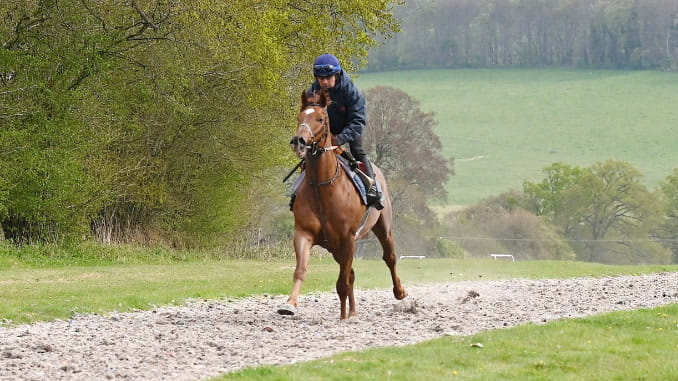 WATCH: Rockstar Icon declared for his second start of the season this ...