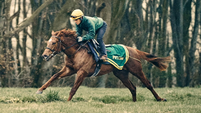 Rockstar Icon Update