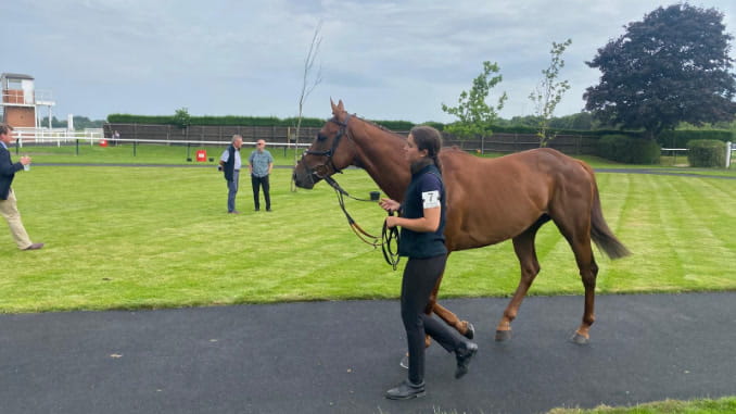 Rockstar Icon makes an encouraging return to action with top four ...