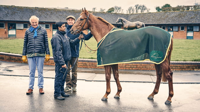 Rockstar Icon Gelding Update