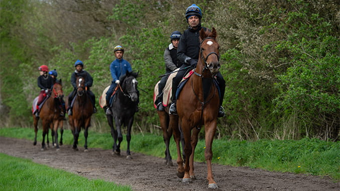 WATCH: Rockstar Icon comes in from the field following his winter break