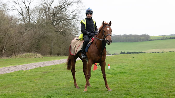 Rockstar Icon working "better than ever" and could feature at Newmarket ...