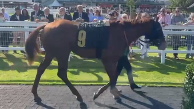 Rockstar Icon to be scoped this week following tough Newmarket contest