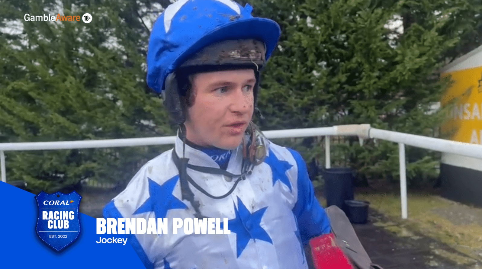 Diamond Days makes his third start over fences as Phoenix Of Dreams ...