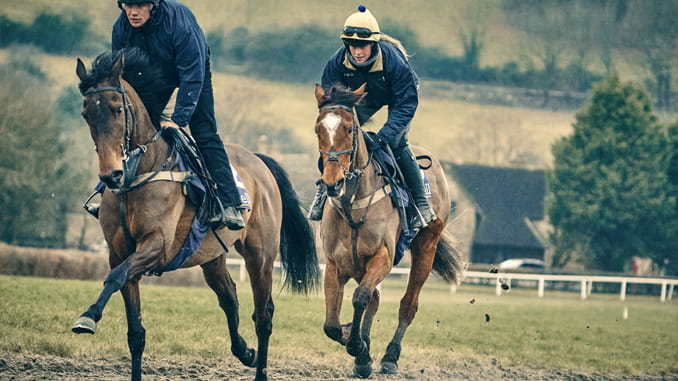 WATCH: Hey Day Baby polishes off her jumping in latest work as Jonjo O ...