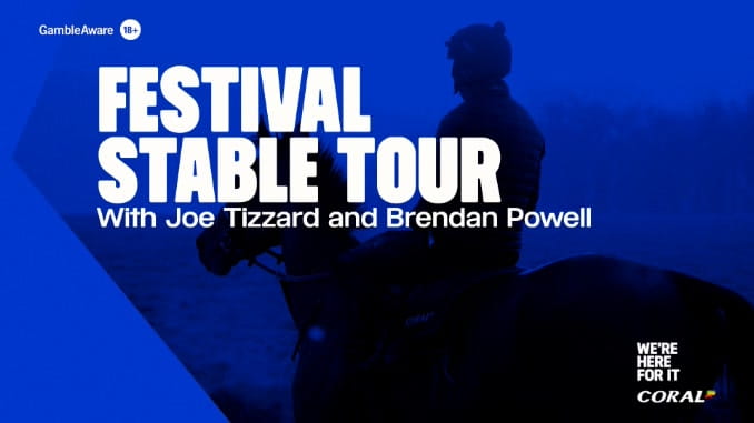 Cheltenham Festival Stable Tour with Joe Tizzard & Brendan Powell